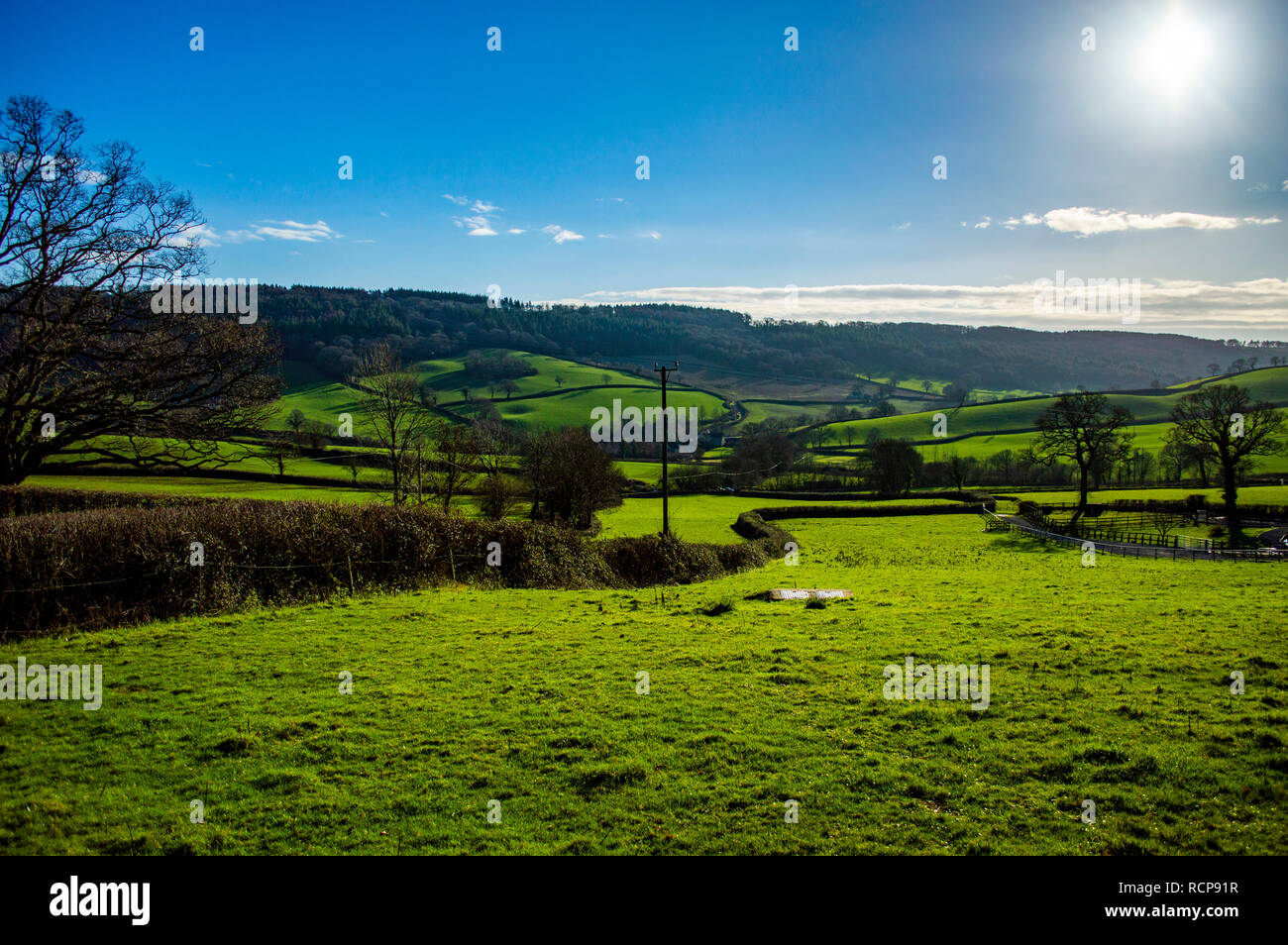 The English countryside in Devon, UK Stock Photo - Alamy