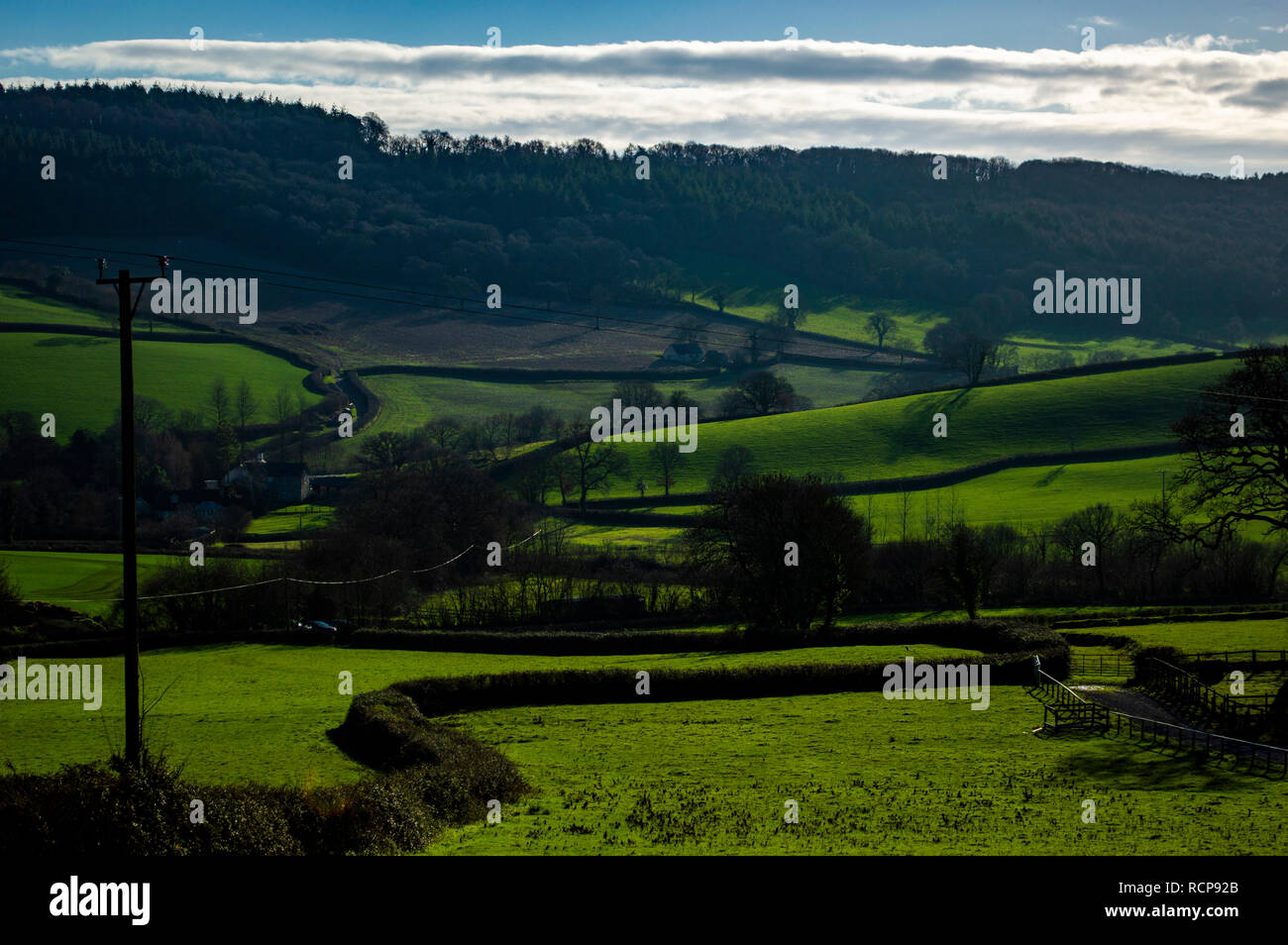 The English countryside in Devon, UK Stock Photo - Alamy