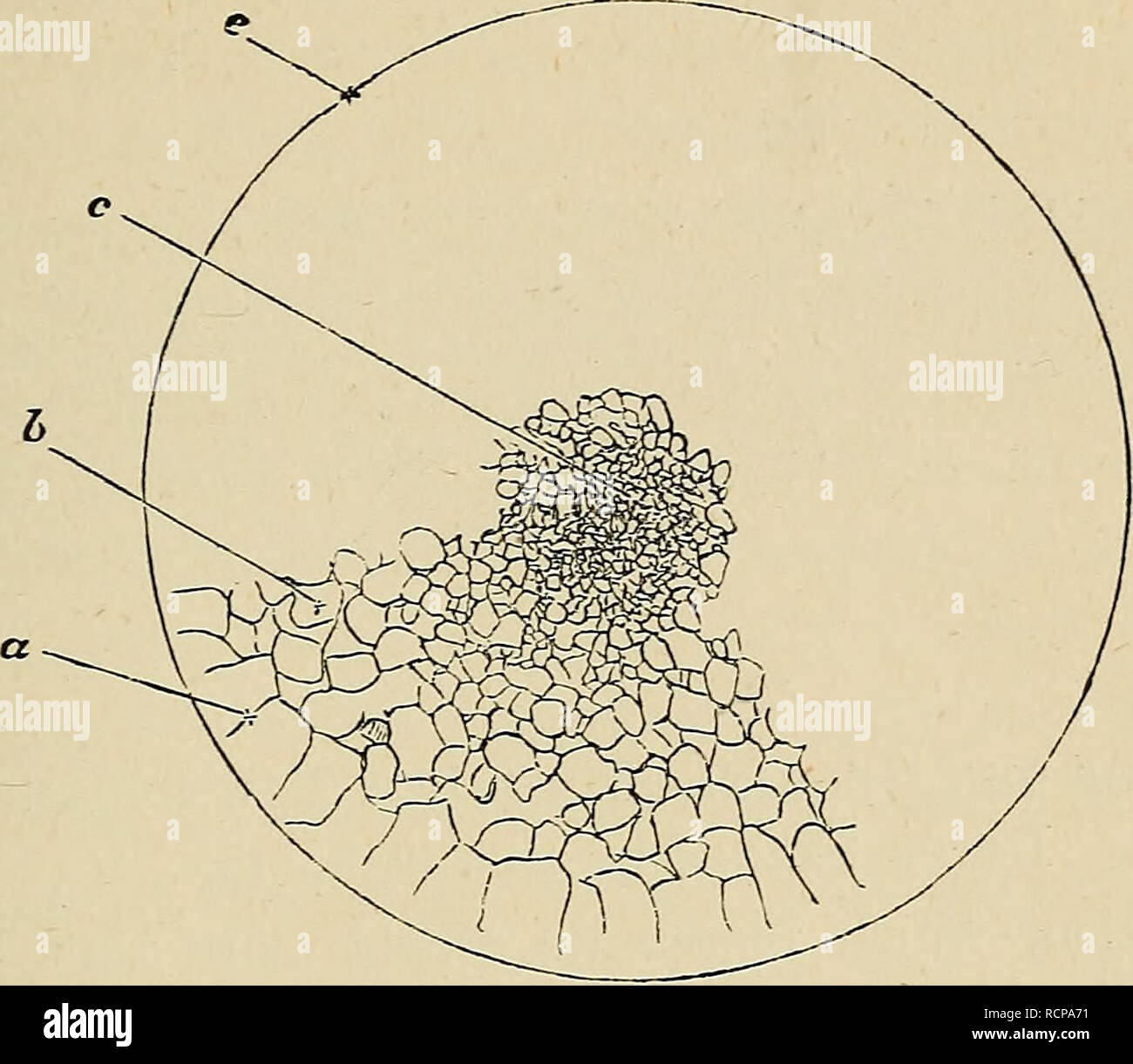 . The elements of embryology. Embryology; Embryology. I] SEGMENTATION ...
