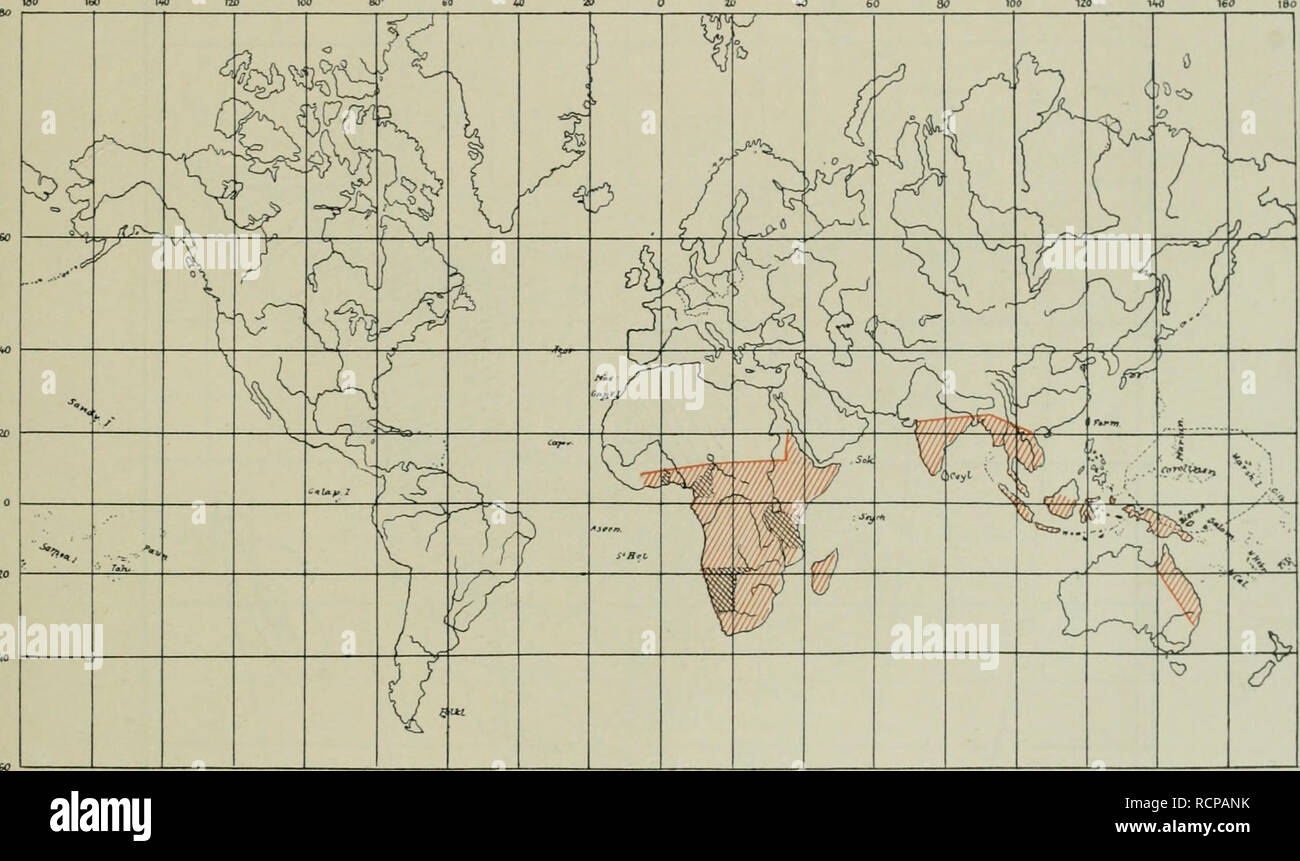 . Die Bienen Afrikas nach dem Stande unserer heutigen Kenntnisse. Bees ...