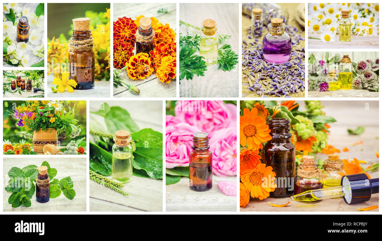 medicinal herbs collage. Selective focus. nature flowers Stock Photo ...