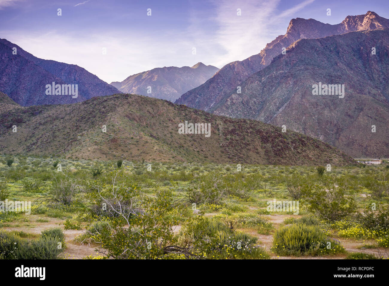 Sunset landscape in Anza Borrego Desert State Park during spring ...
