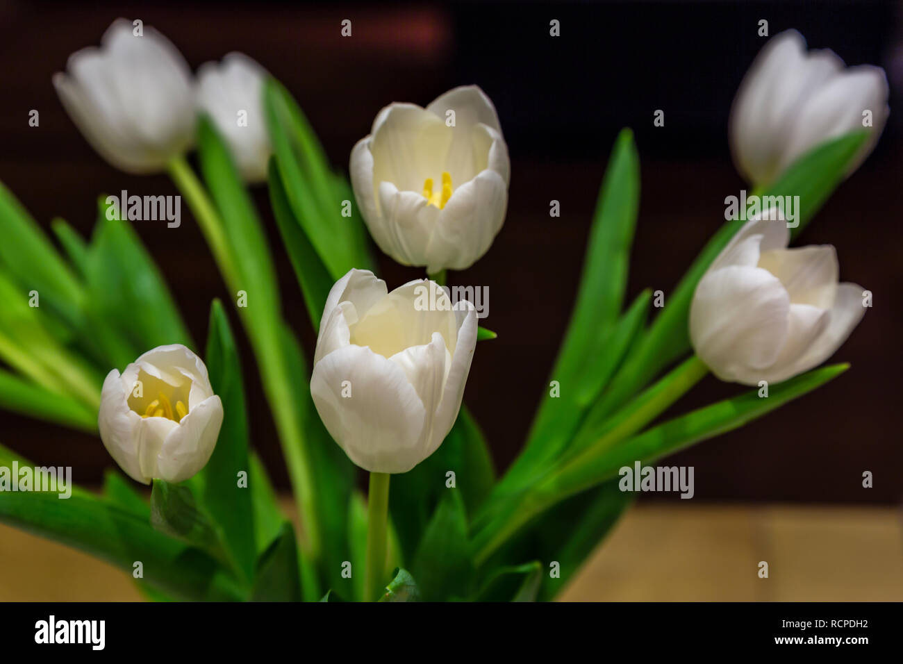 Perfect love hi-res stock photography and images - Alamy