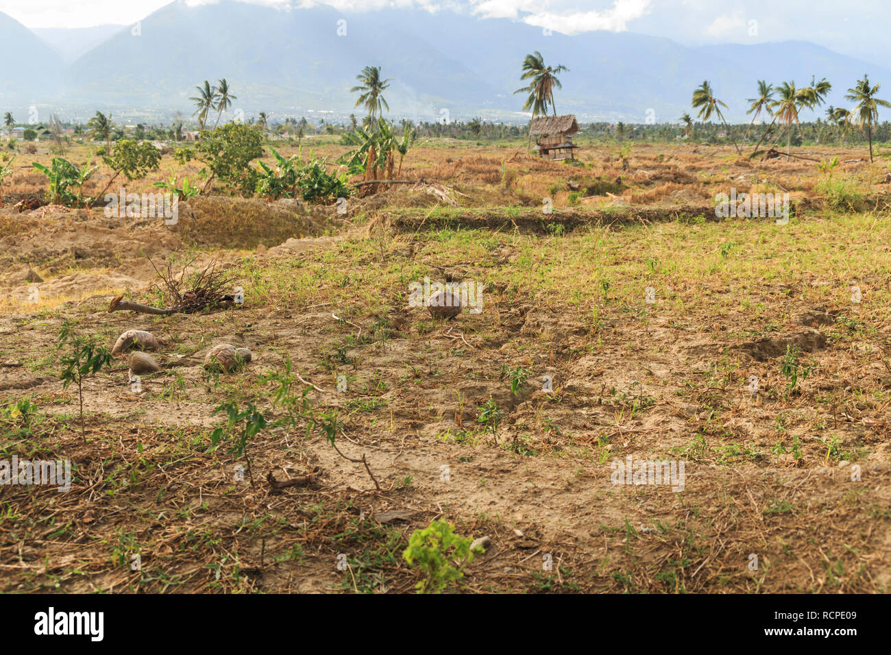 The impact of the damage caused by the earthquake and liquefaction ...