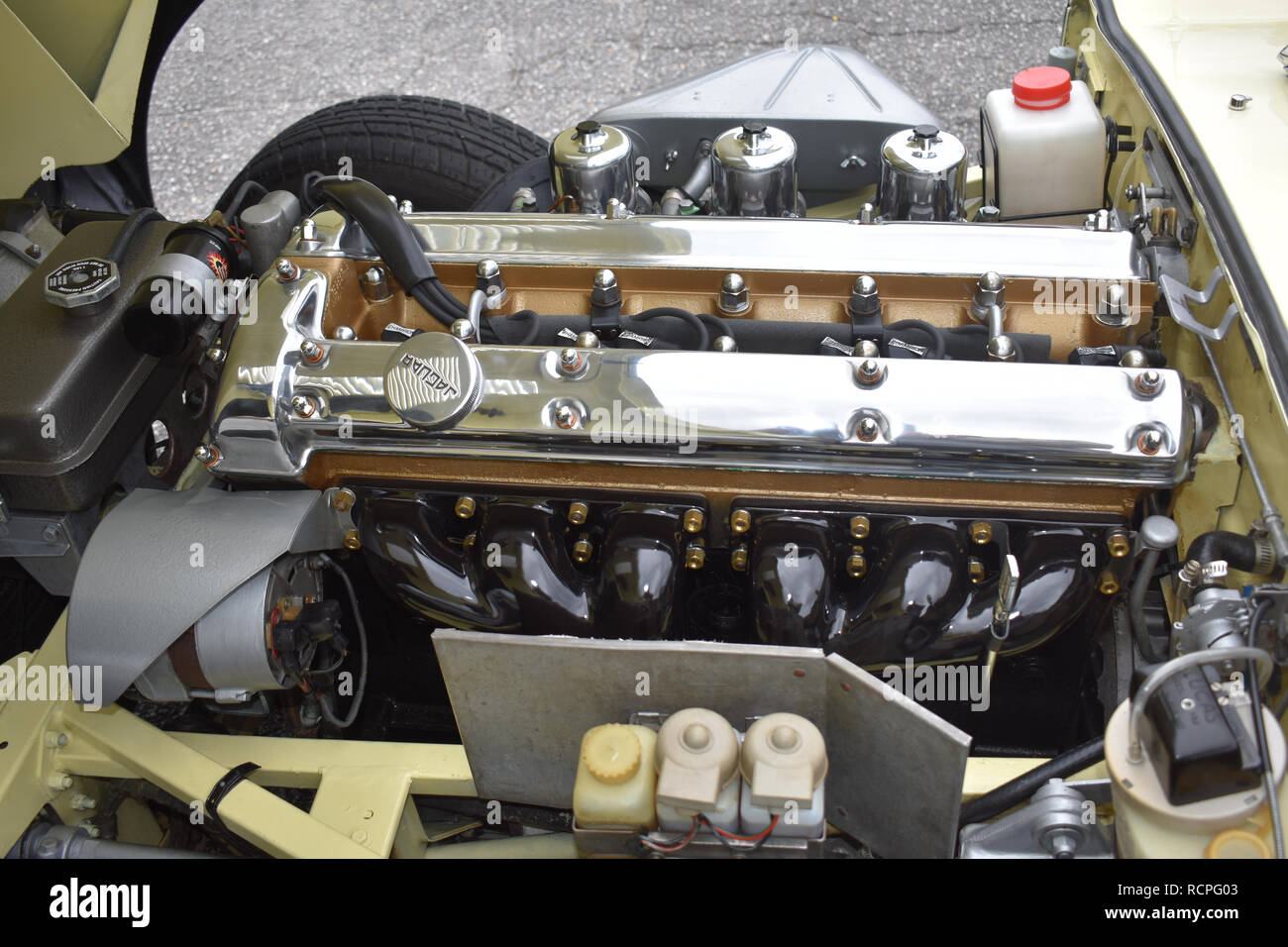 4 2 jaguar hi-res stock photography and images - Alamy