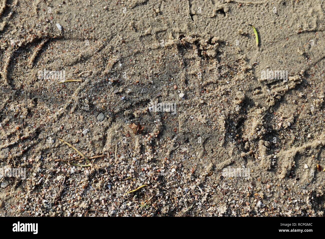 Close up high resolution surface of sand with footprints on the ground ...