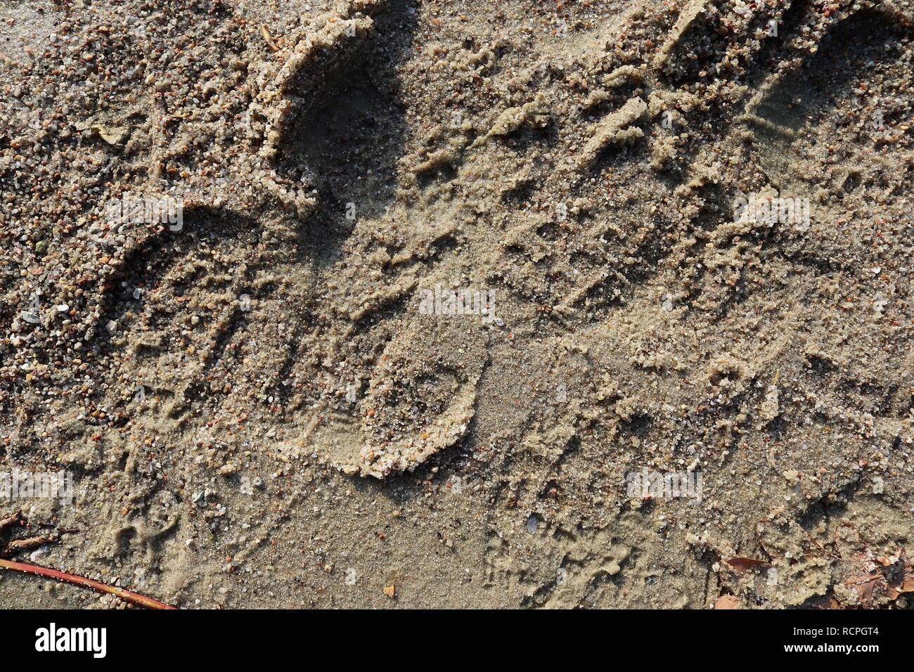 Close up high resolution surface of sand with footprints on the ground ...