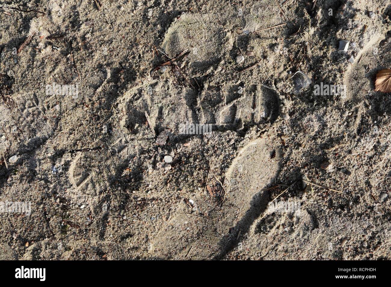 Close up high resolution surface of sand with footprints on the ground ...