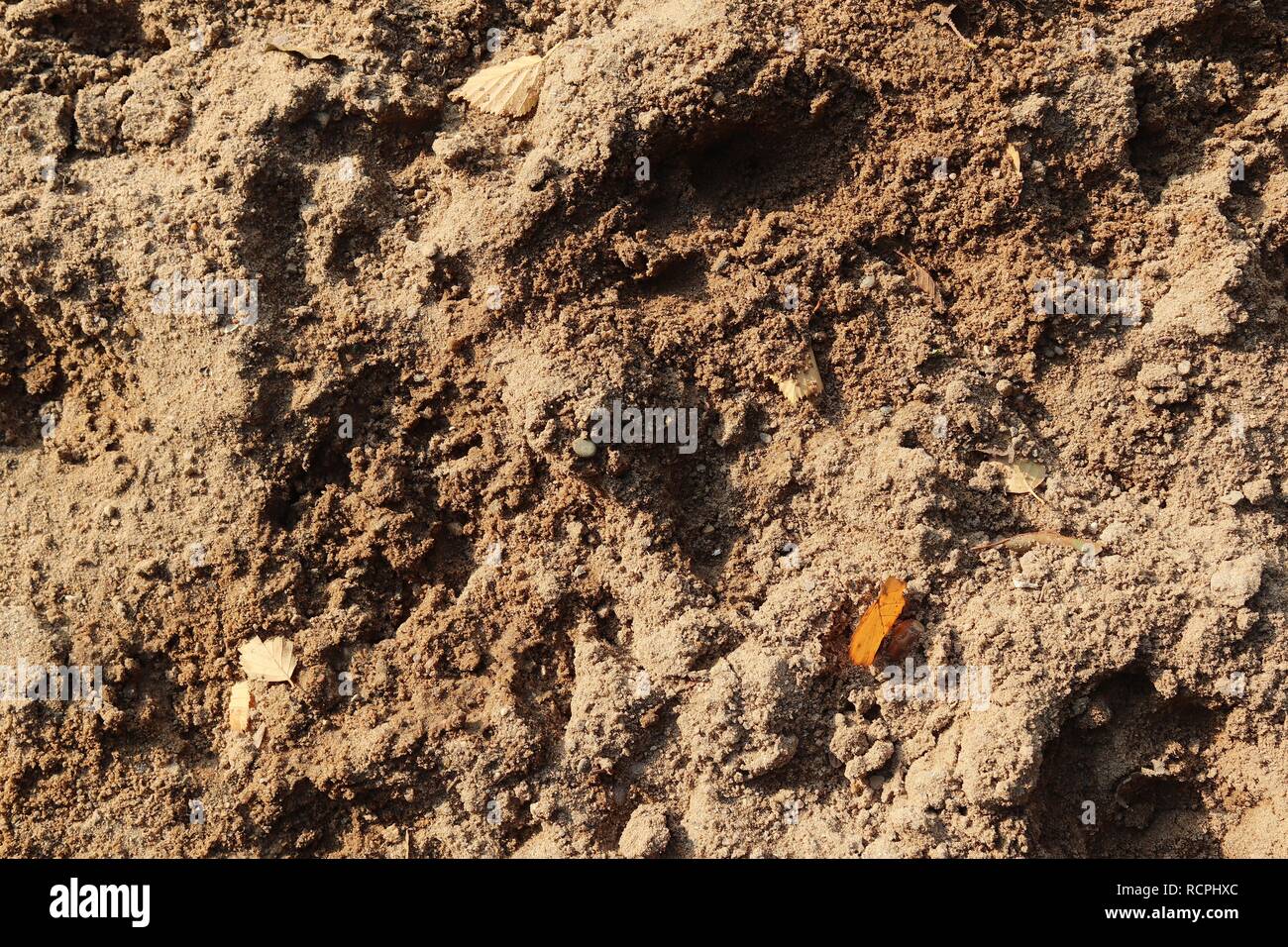 Close up high resolution surface of sand with footprints on the ground ...