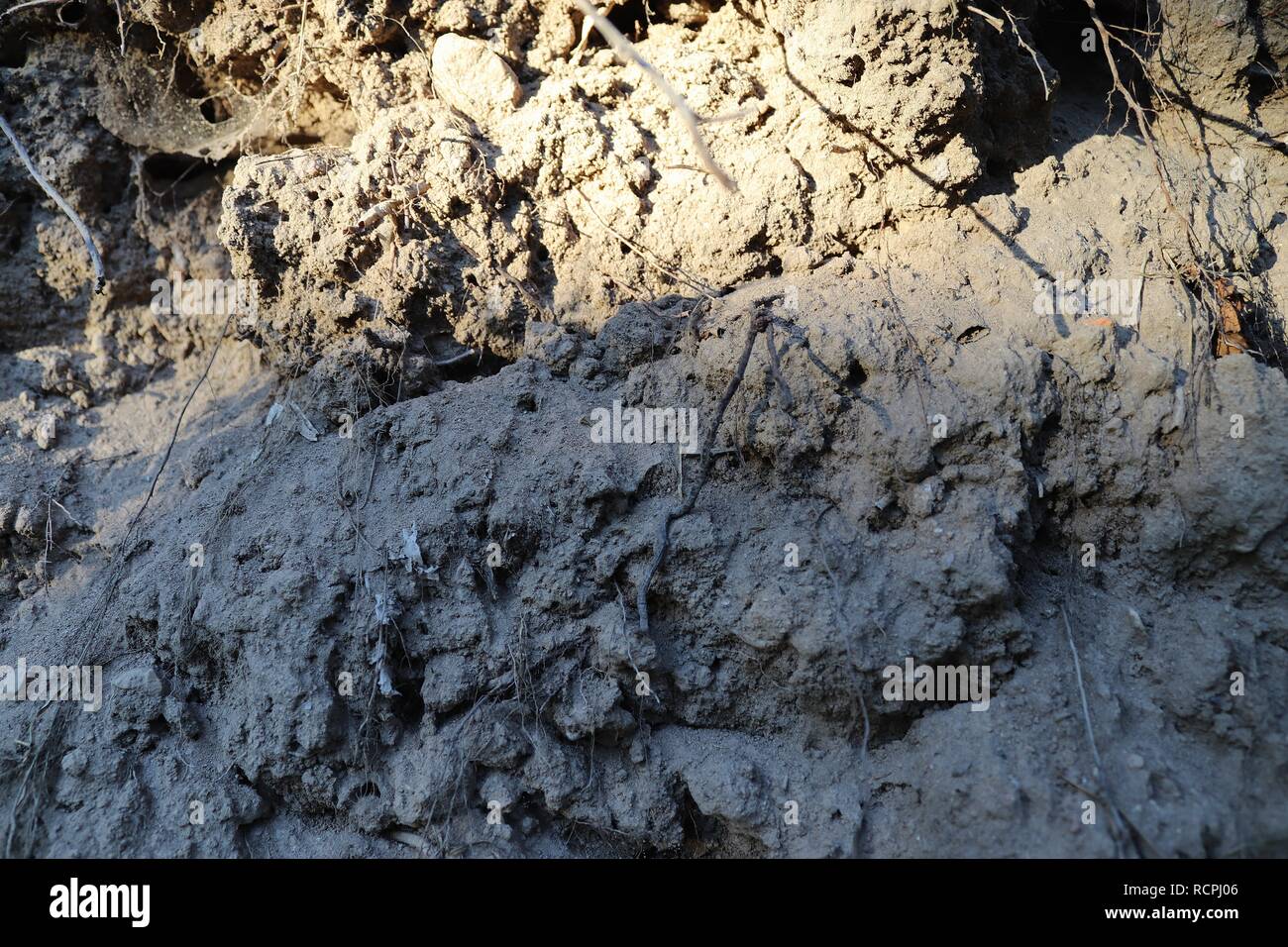 Close up high resolution surface of sand with footprints on the ground ...