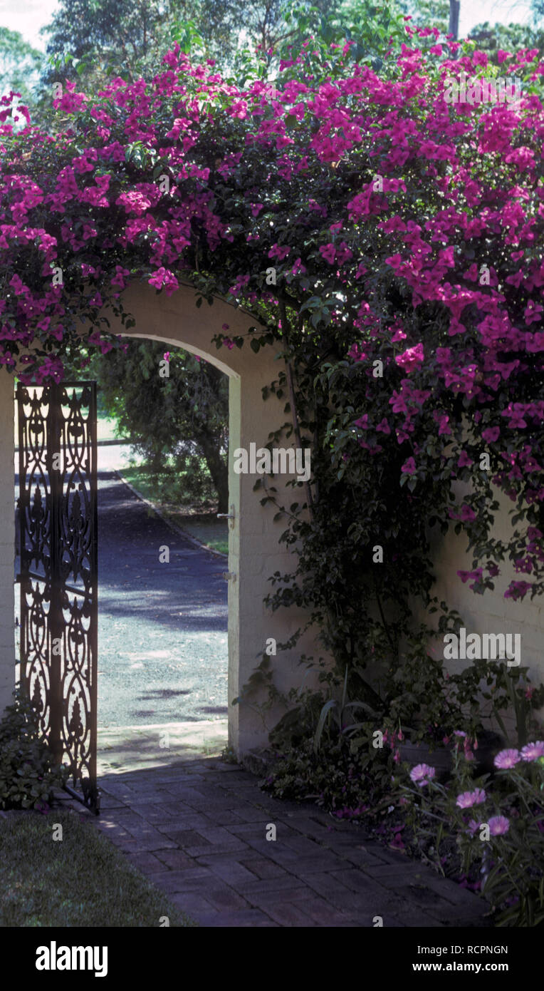 Courtyard Garden Gate