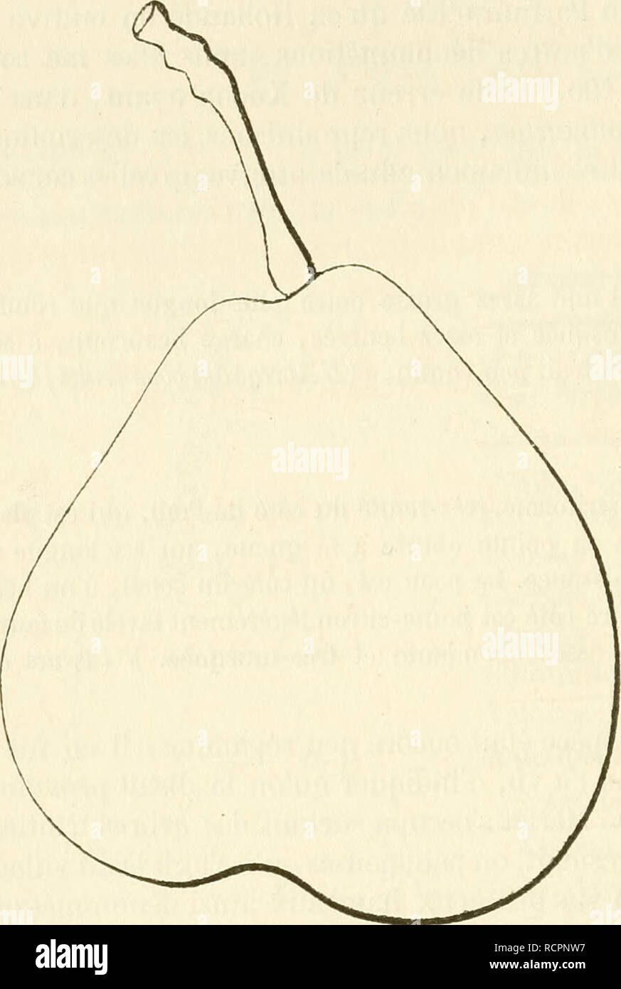 Carta pra hi-res stock photography and images - Alamy