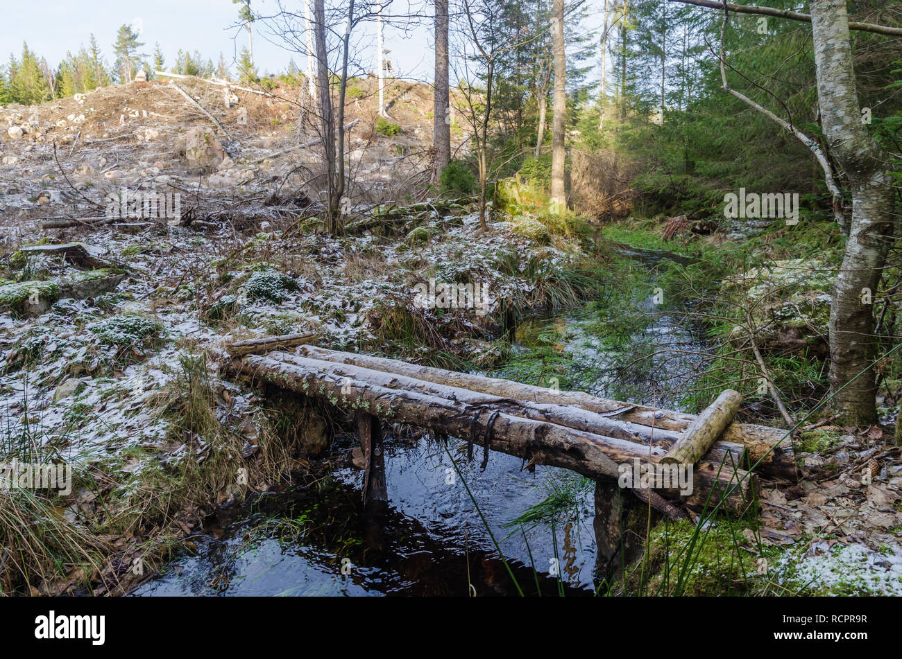 Simple bridge made of logs crossing a small creek in the woods Stock ...