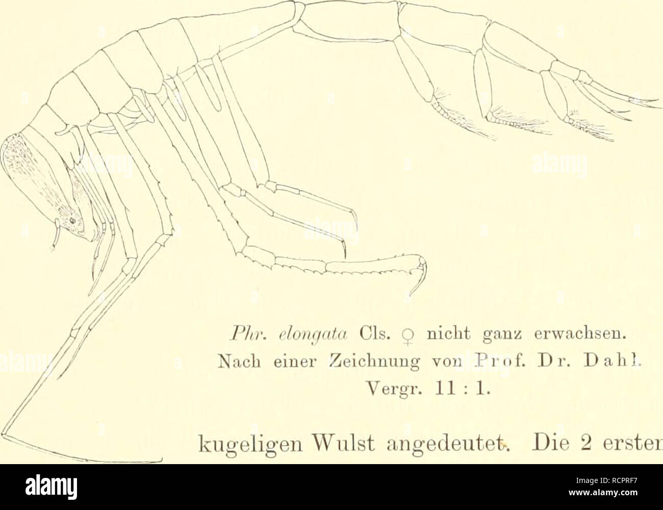 Dr Gann High Resolution Stock Photography and Images - Alamy