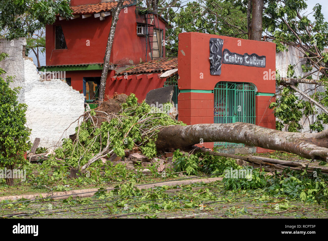 Santa Clara, Cuba, September 10th, 2017. Trees on the ground and a wall ...