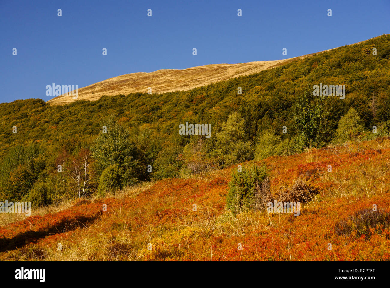 Amazing autumn colors in the Bieszczady Mountains. Poland Stock Photo ...