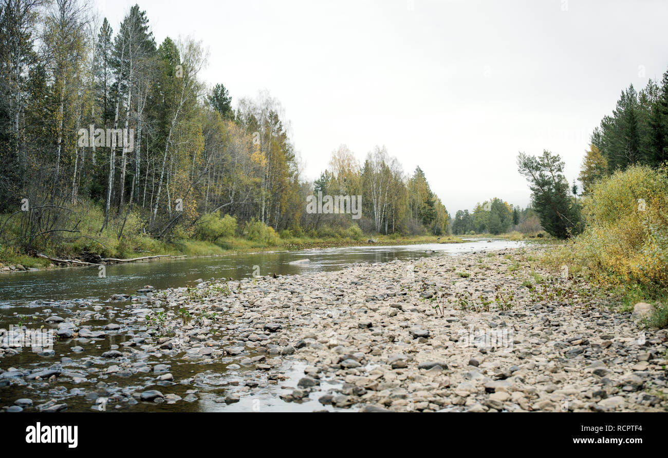 Autumn landscape with river, pine trees and birches Stock Photo - Alamy