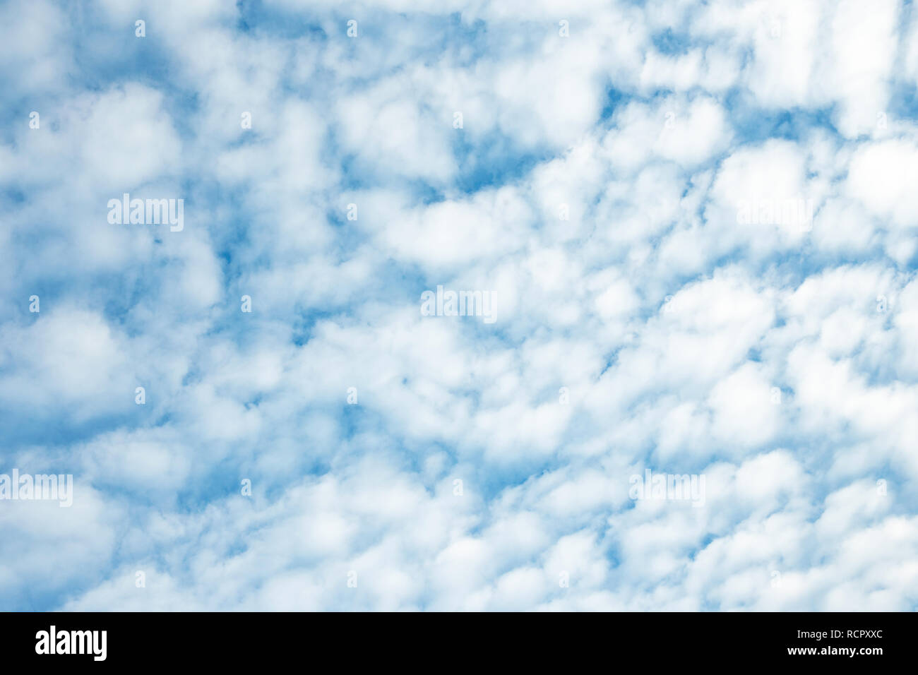 Scattered Fluffy White Clouds High Resolution Stock Photography and ...
