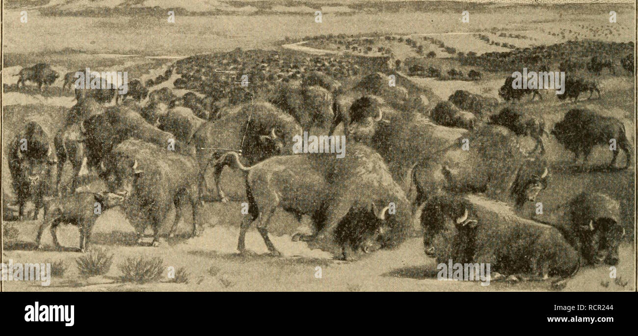 . Elements of agriculture, southern and western. Agriculture ...