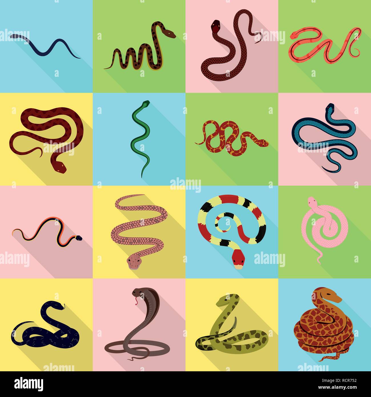 Vector Illustration Of Skin And Reptile Icon Collection Of Skin And Danger Stock Vector