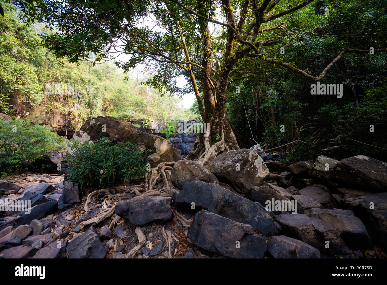 Summer landscape on tropical koh Kood island in Thailand. Beautiful ...