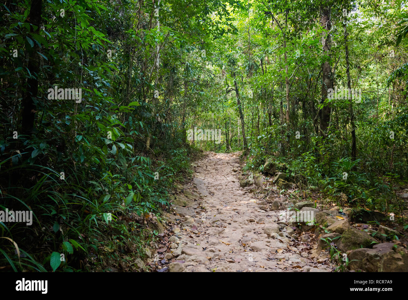 Summer landscape on tropical koh Kood island in Thailand. Beautiful ...
