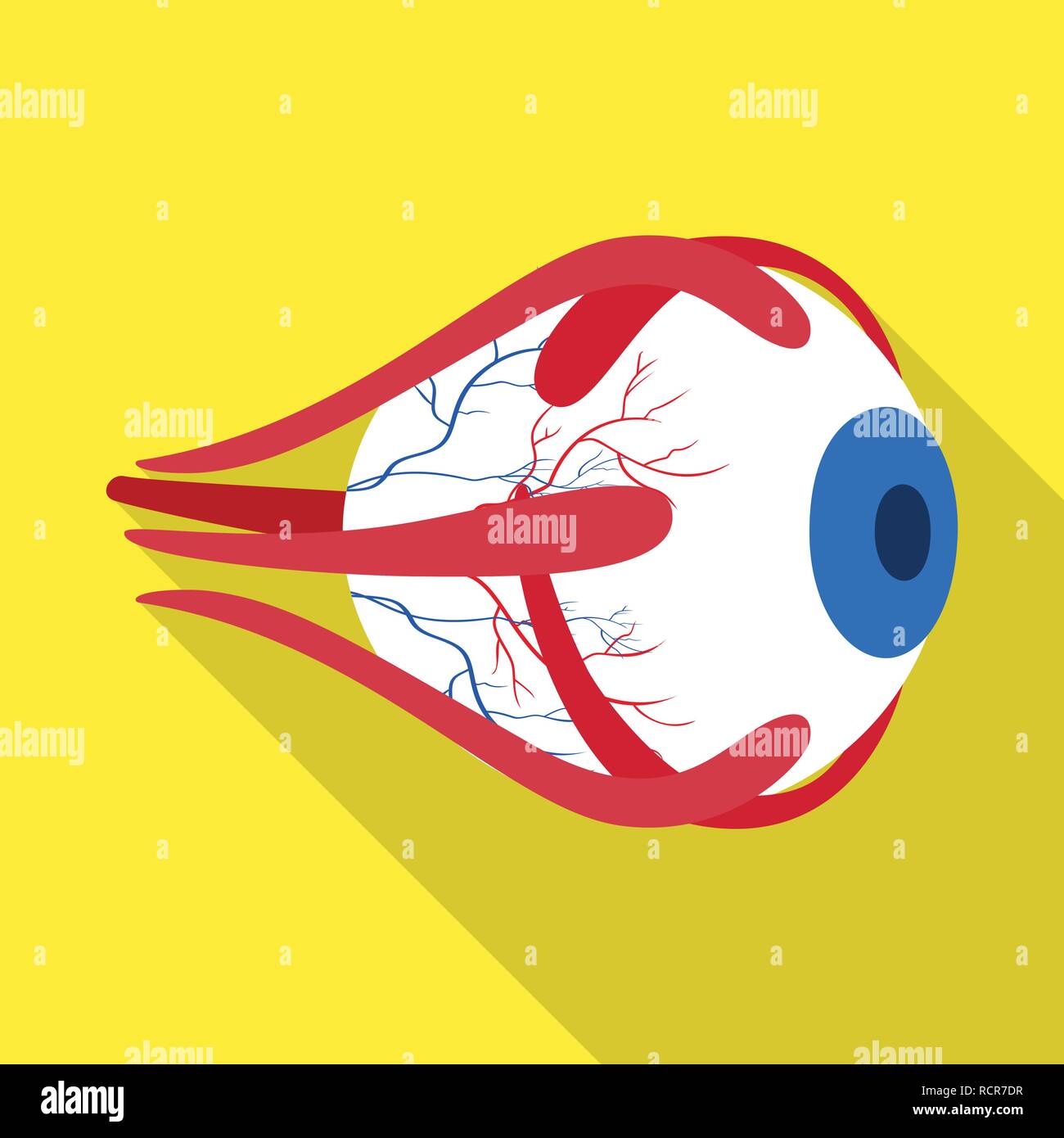 Cornea layers Stock Vector Images - Alamy