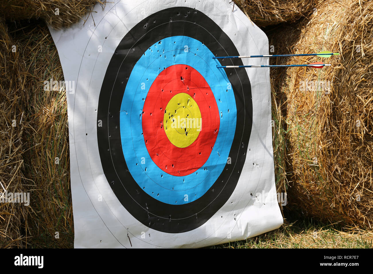 Third Hand Target Face