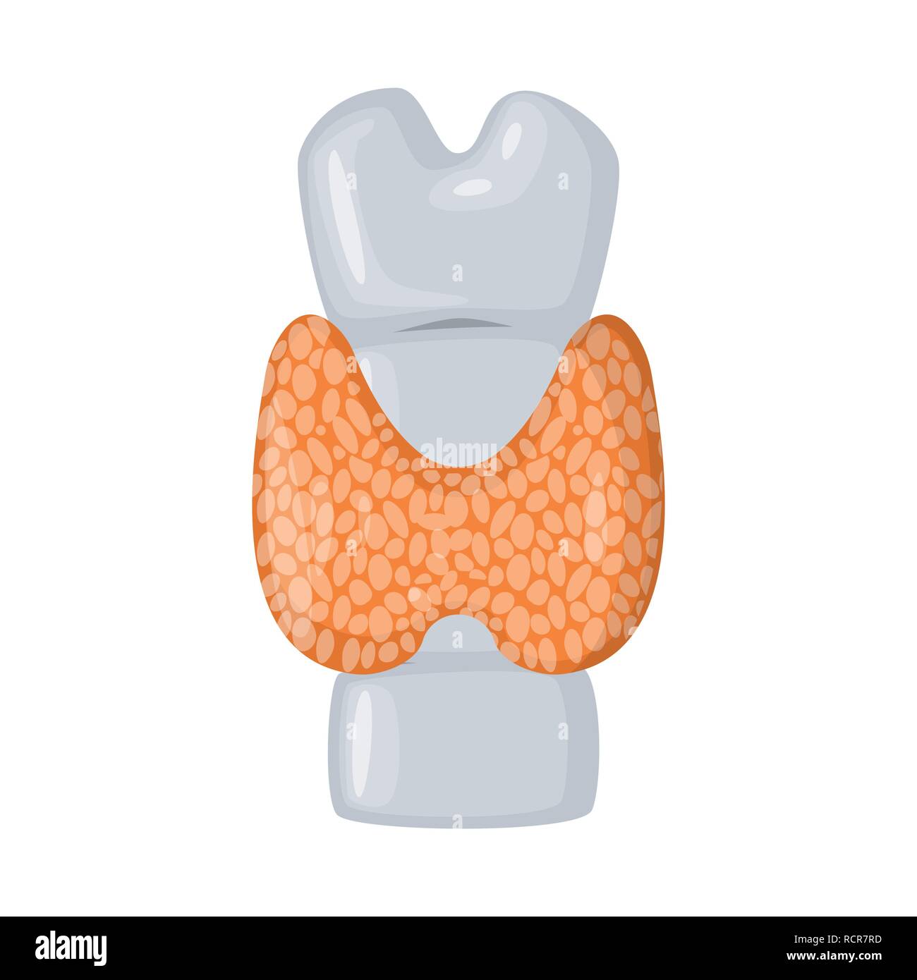 Isolated Object Of Anatomy And Organ Logo Set Of Anatomy And Medical