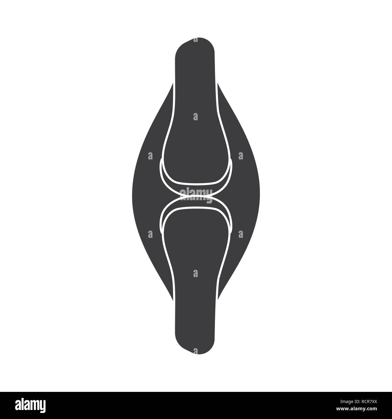 Bone tendon muscle marrow Stock Vector Images - Alamy