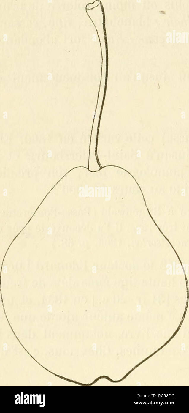 . Dictionnaire de pomologie, contenant l'histoire, la description, la ...
