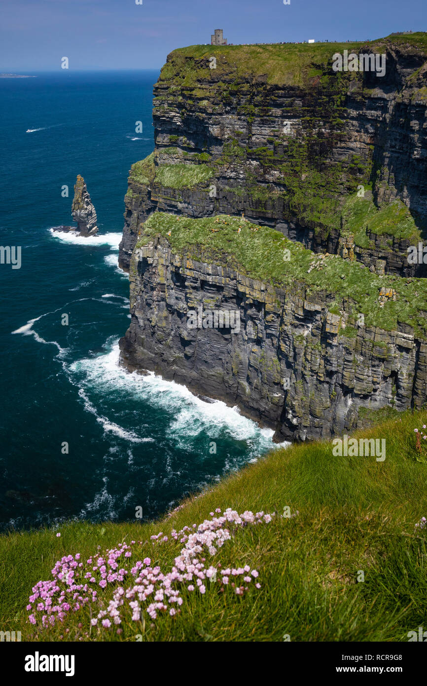 Wild Atlantic Way, Cliffs of Moher, County Clare, Ireland along the ...