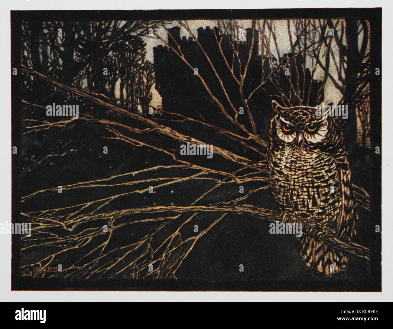 Illustration from Jorinda and Joringel of a screech owl. Grimm's Fairy ...