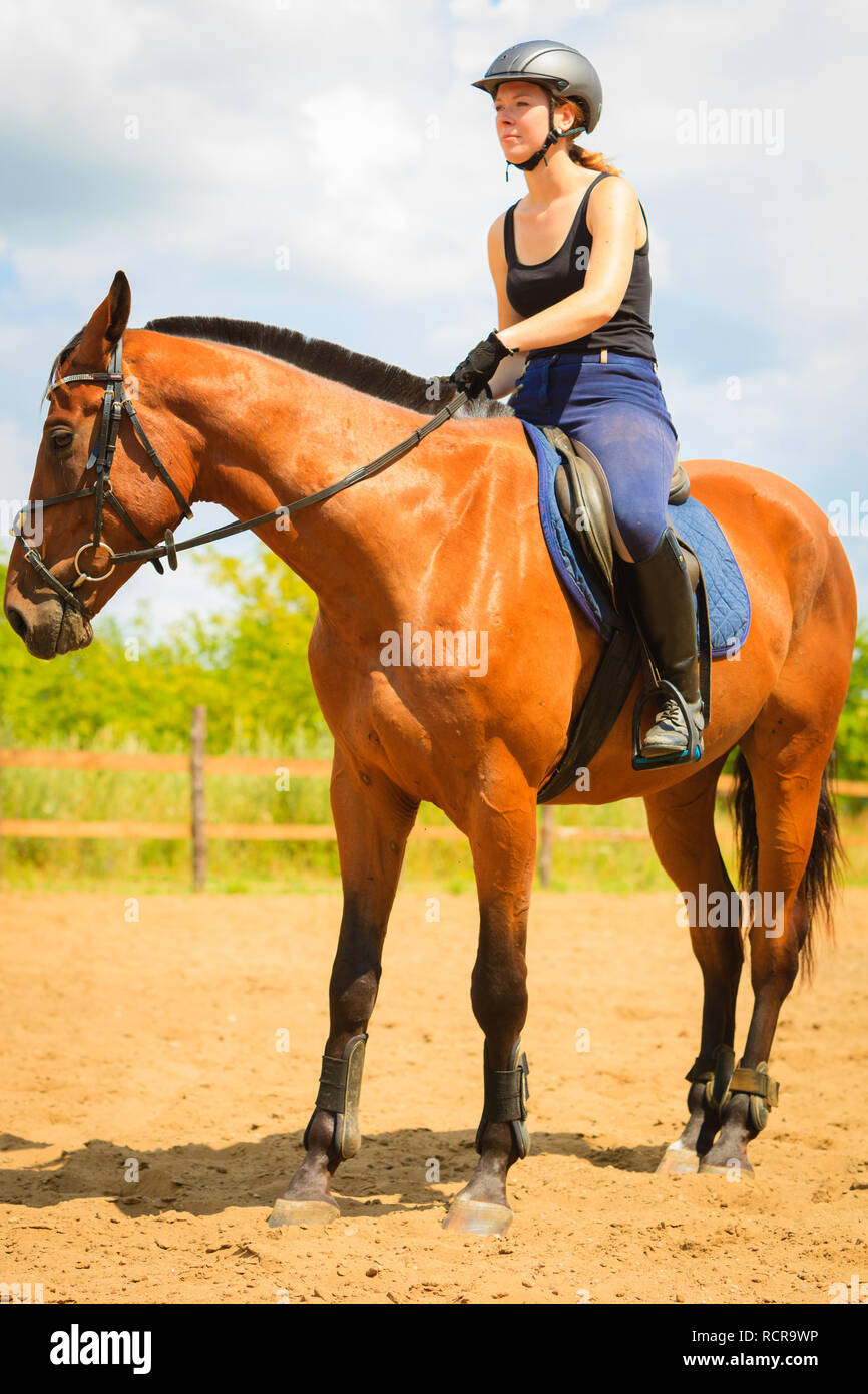Taking care of animals, horsemanship, western competitions concept ...