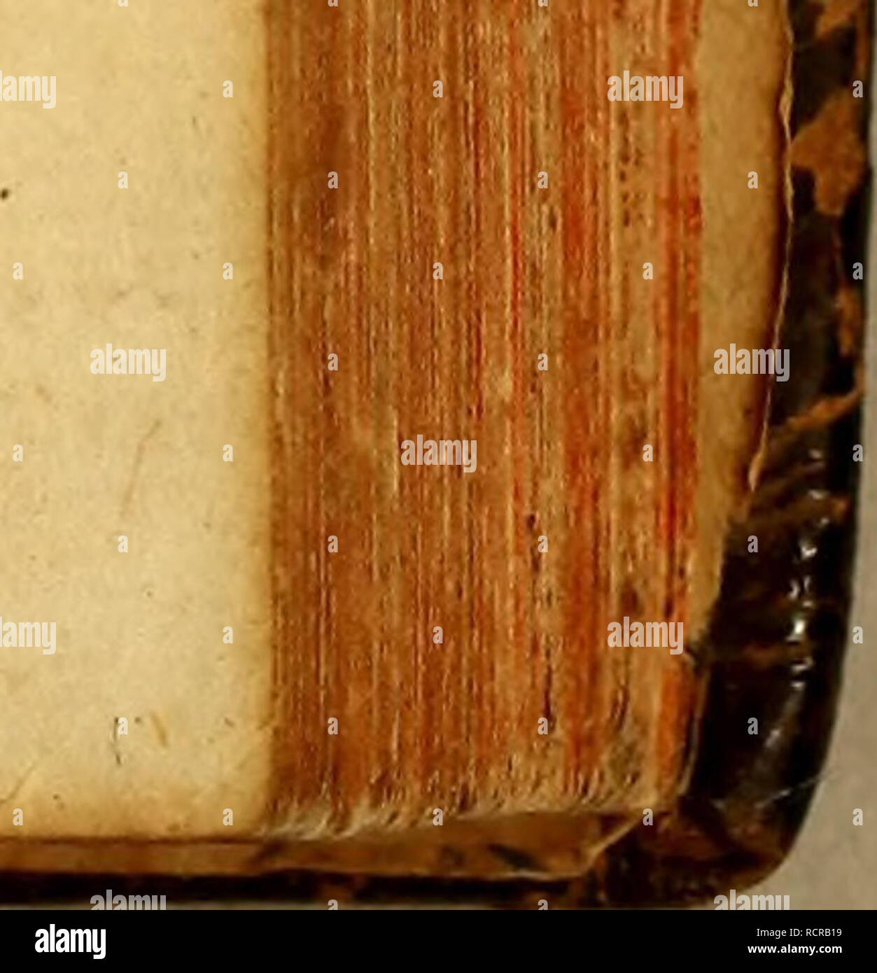 Azedas hi-res stock photography and images - Alamy