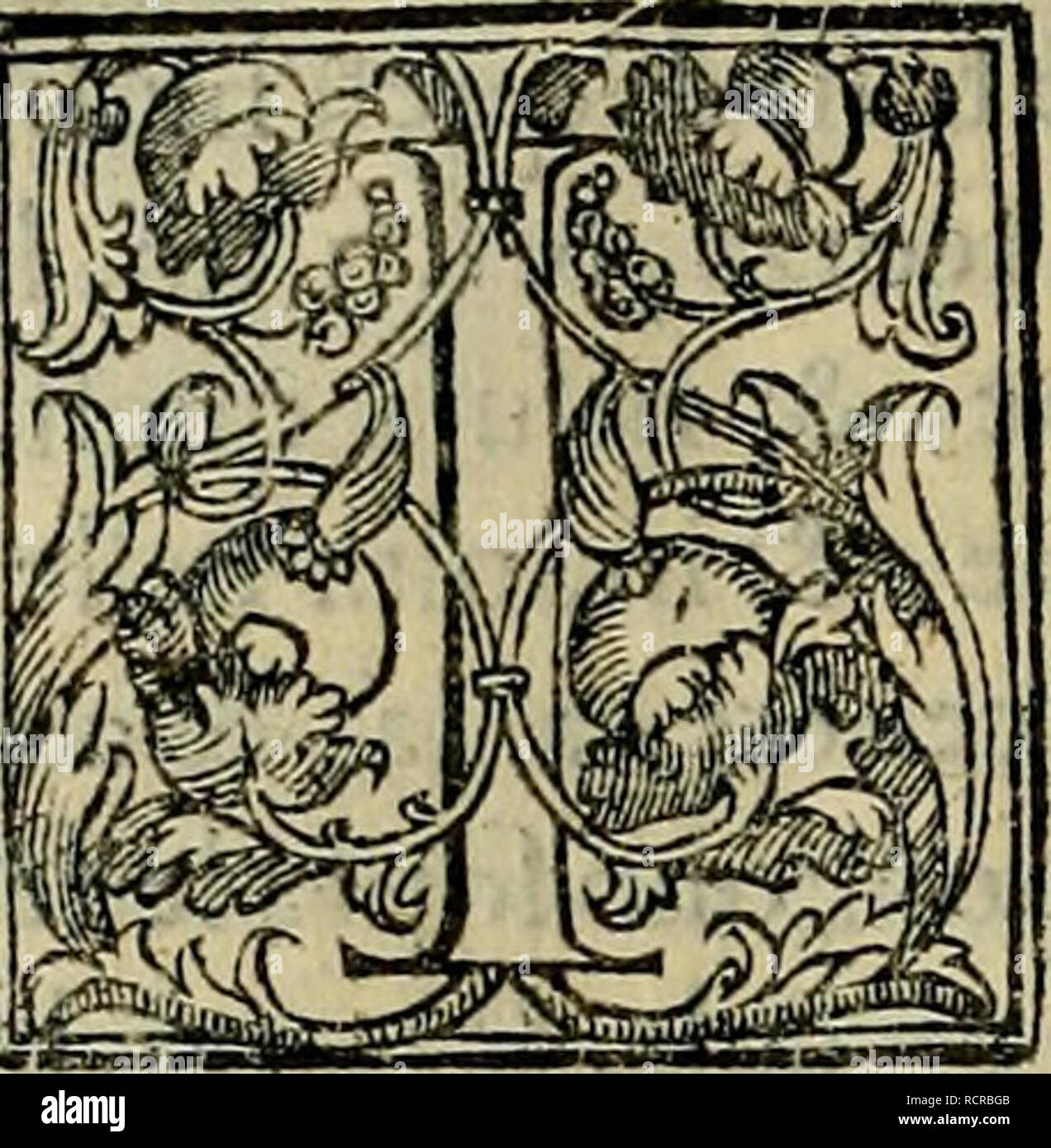 Historia del mal hi-res stock photography and images - Alamy