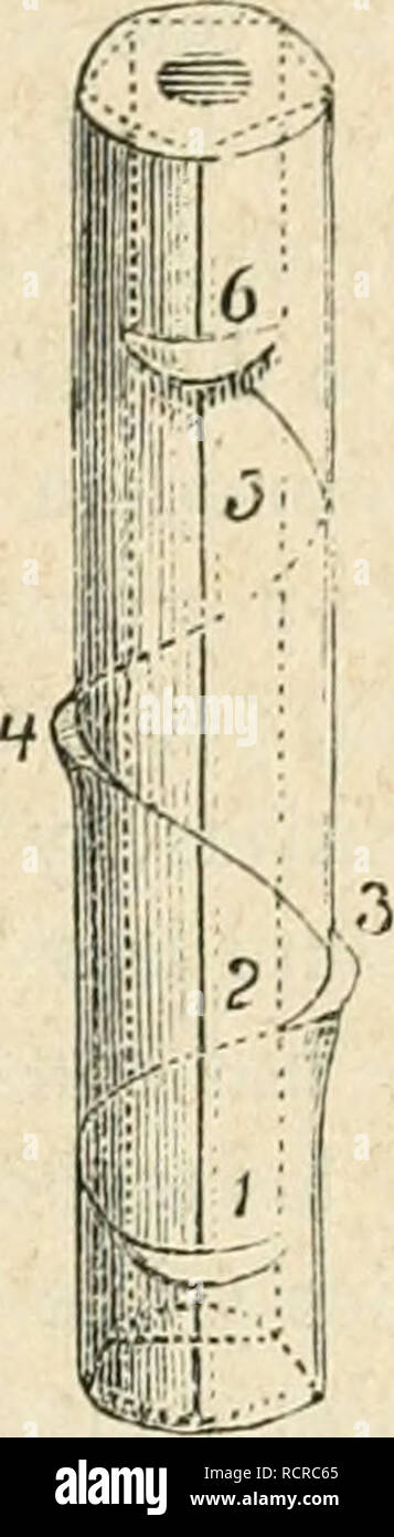 Hoja que describe hi-res stock photography and images - Alamy