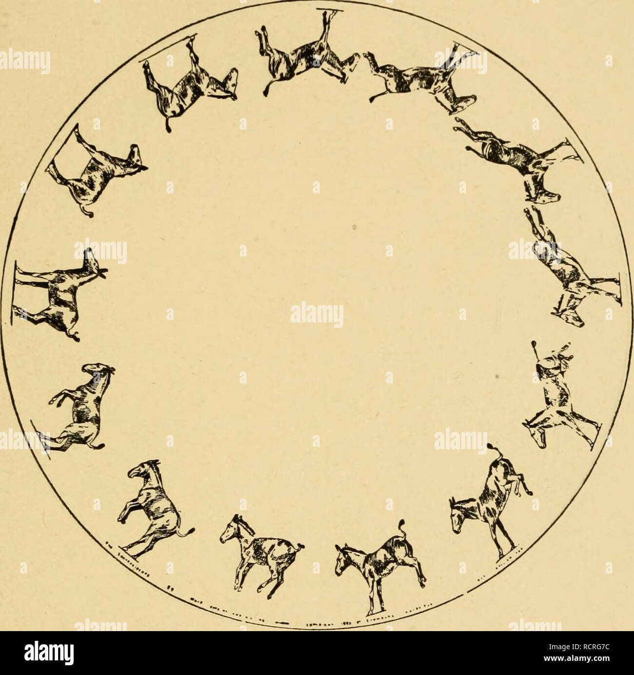 Mr muybridge hi-res stock photography and images - Alamy