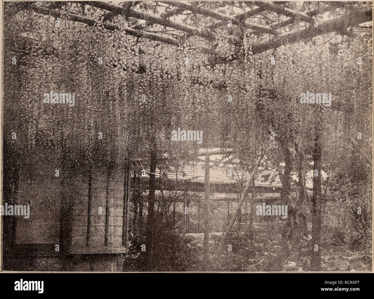 Cataf hi-res stock photography and images - Alamy