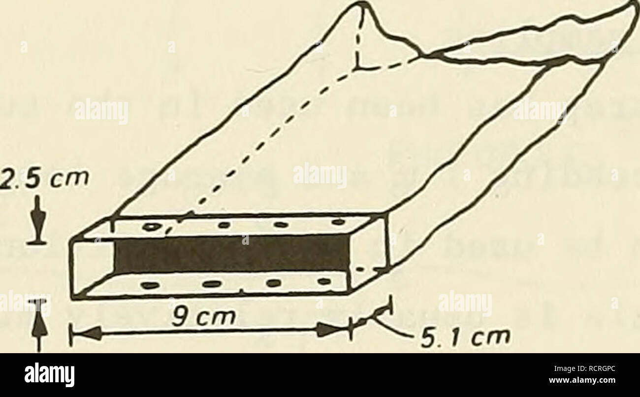 . Development of a portable sand trap for use in the nearshore ...