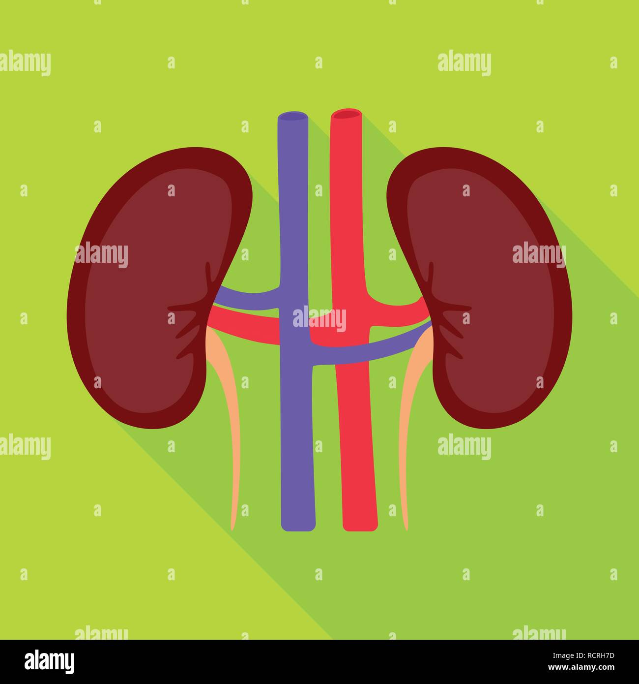 Vector design of human and health icon. Set of human and scientific ...