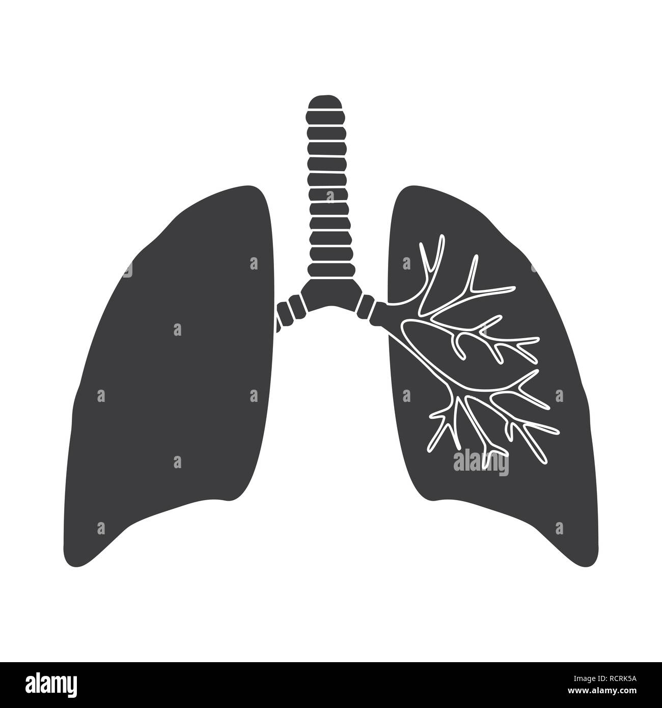 Vector design of research and laboratory icon. Set of research and ...