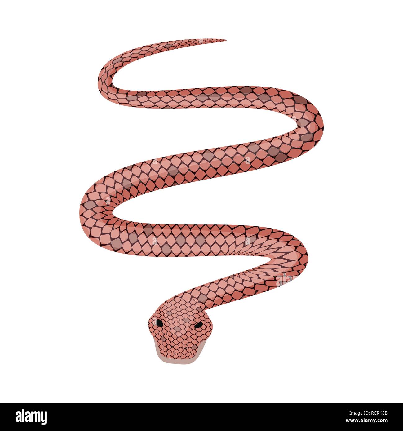 Vector illustration of poison and evil symbol. Set of poison and bite ...