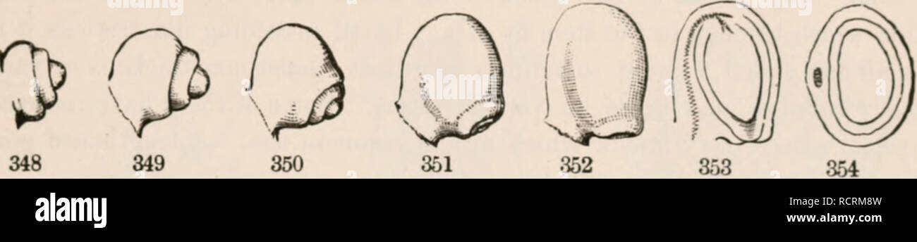 . The elements of botany for beginners and for schools. Plants. ing, as ...