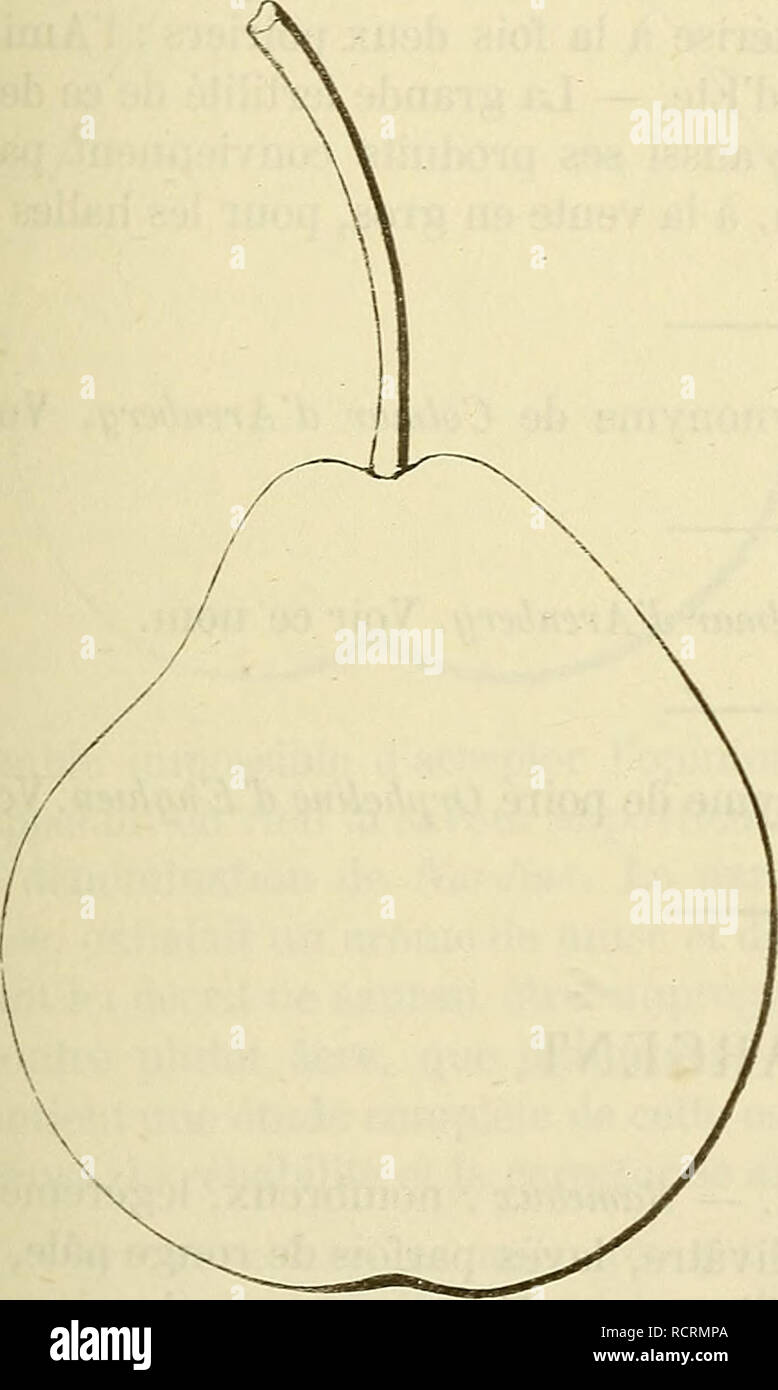 Charles 2 d'angleterre hi-res stock photography and images - Alamy