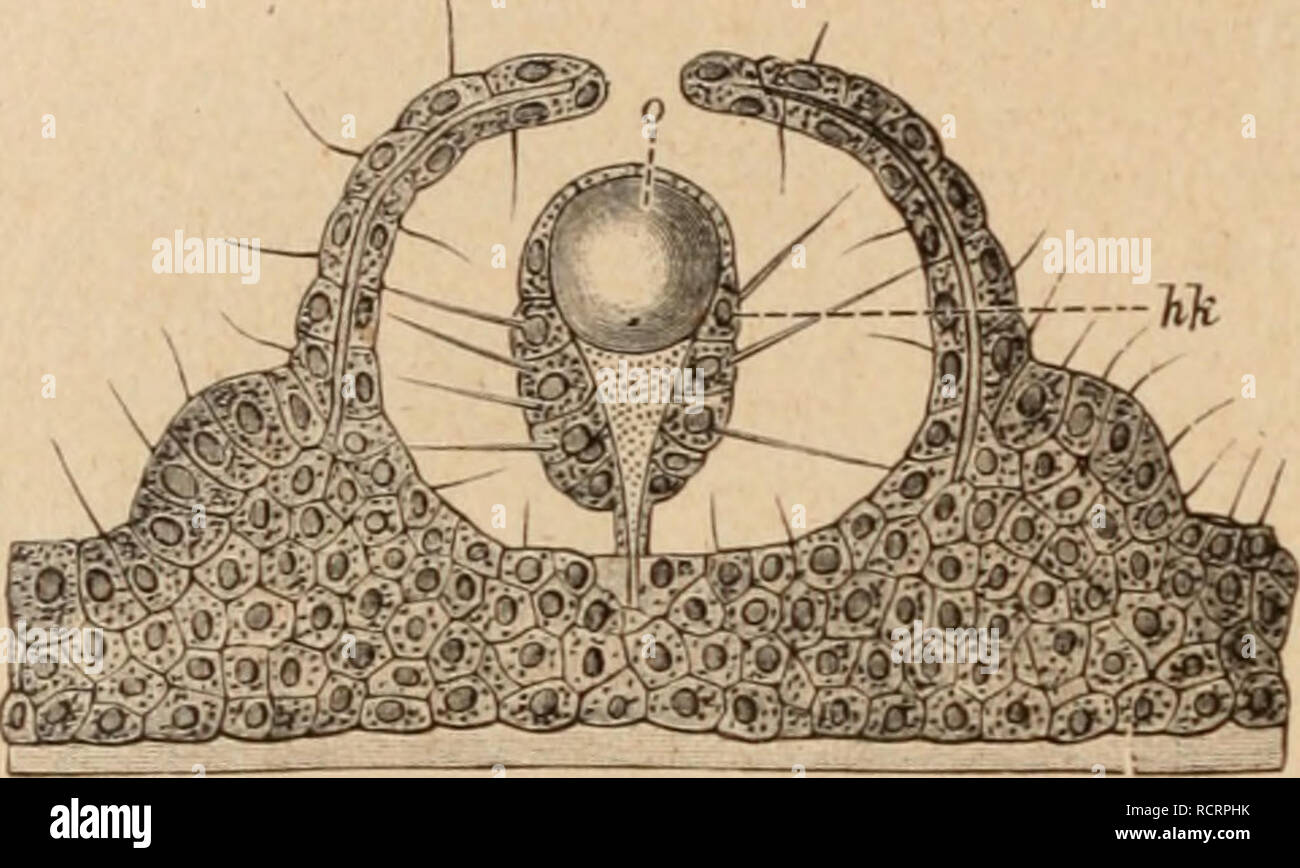 Cta font hi-res stock photography and images - Alamy