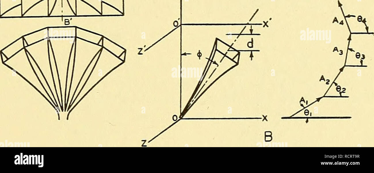 Exponential horn hi-res stock photography and images - Alamy