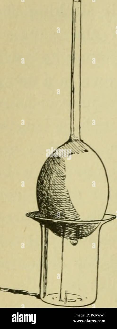 Egg shell microscope hi-res stock photography and images - Alamy