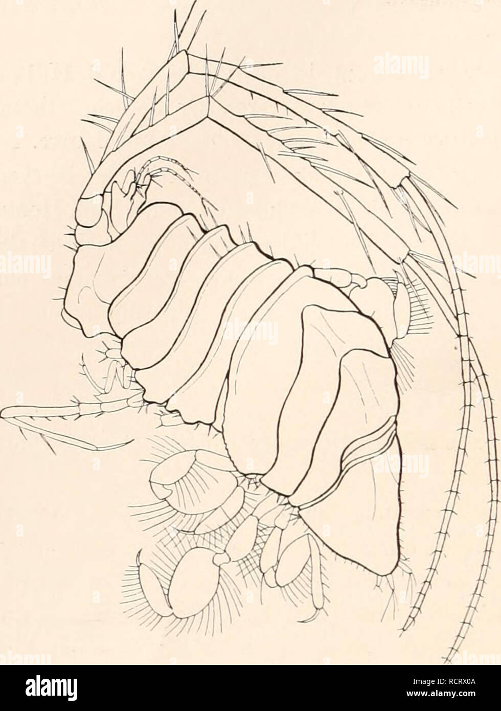 Wellige hi-res stock photography and images - Alamy