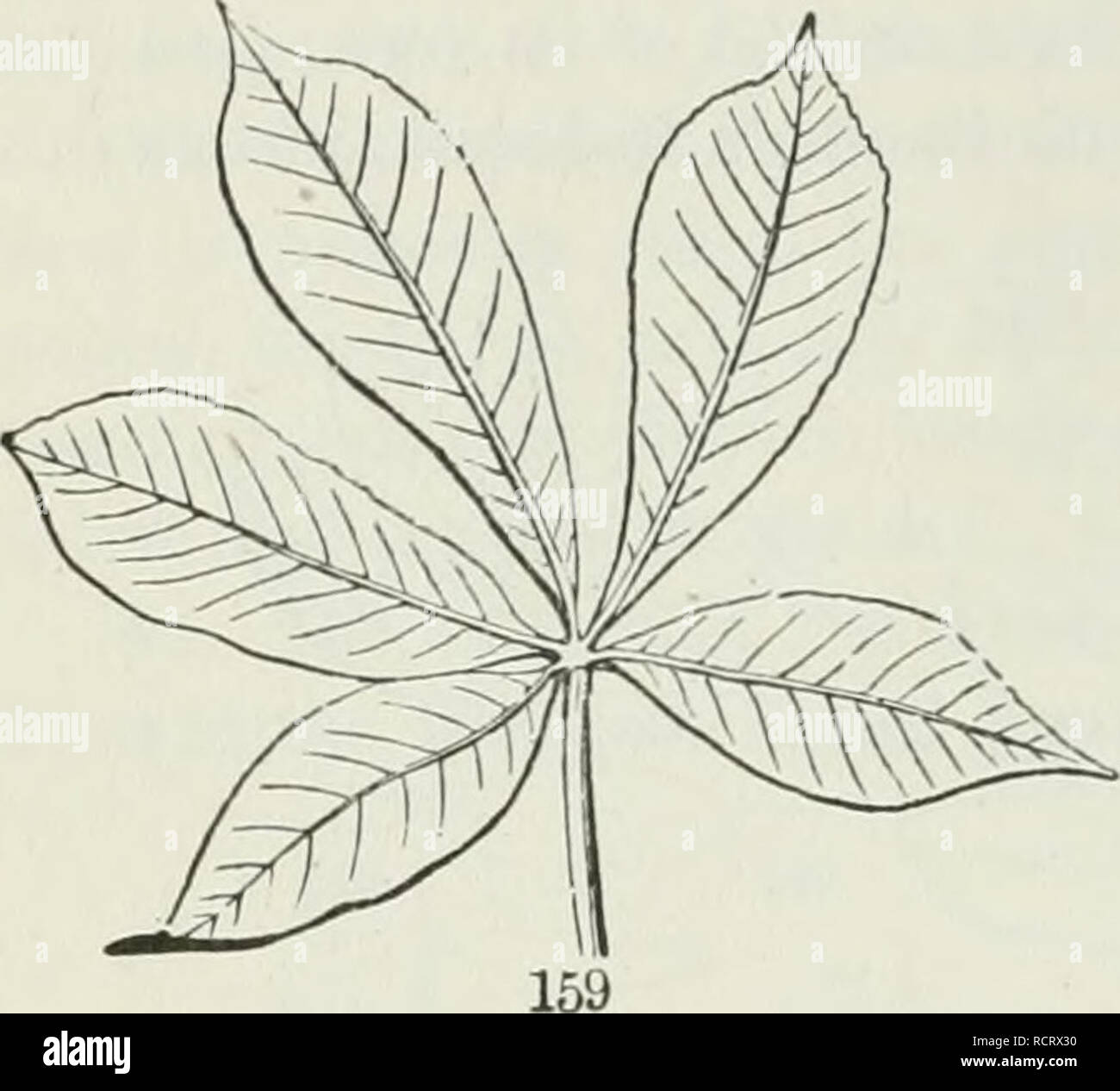 Tig pin hi-res stock photography and images - Alamy